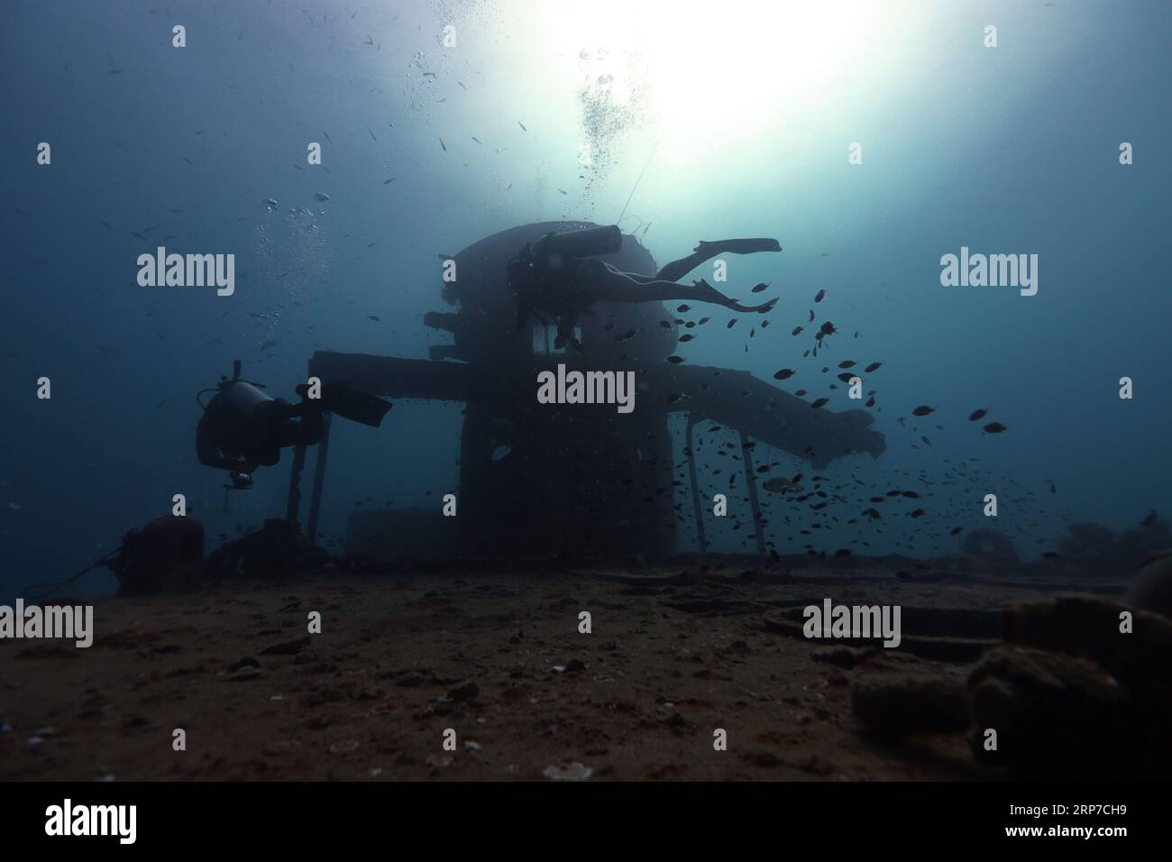 Divers scuba diving across ship wreck Stock Photo - Alamy