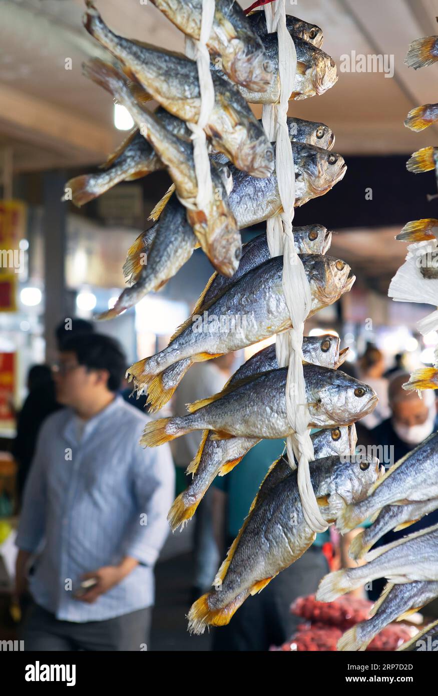 Dried fish on a conveyor belt, Gwangjang market, traditional street ...