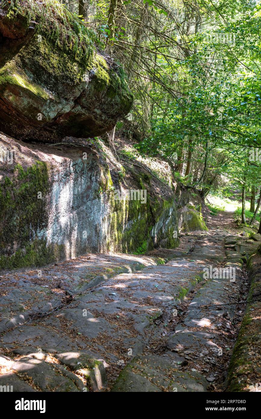 Roman path, also slab path, voie romaine, sandstone mountains, Mont ...