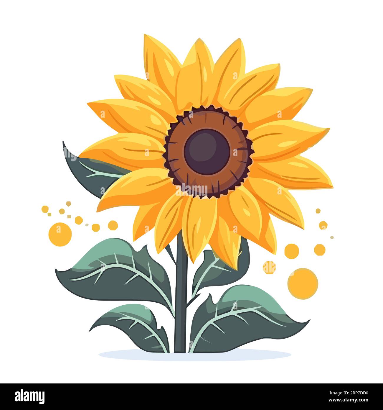 Flower Sunflower Drawing