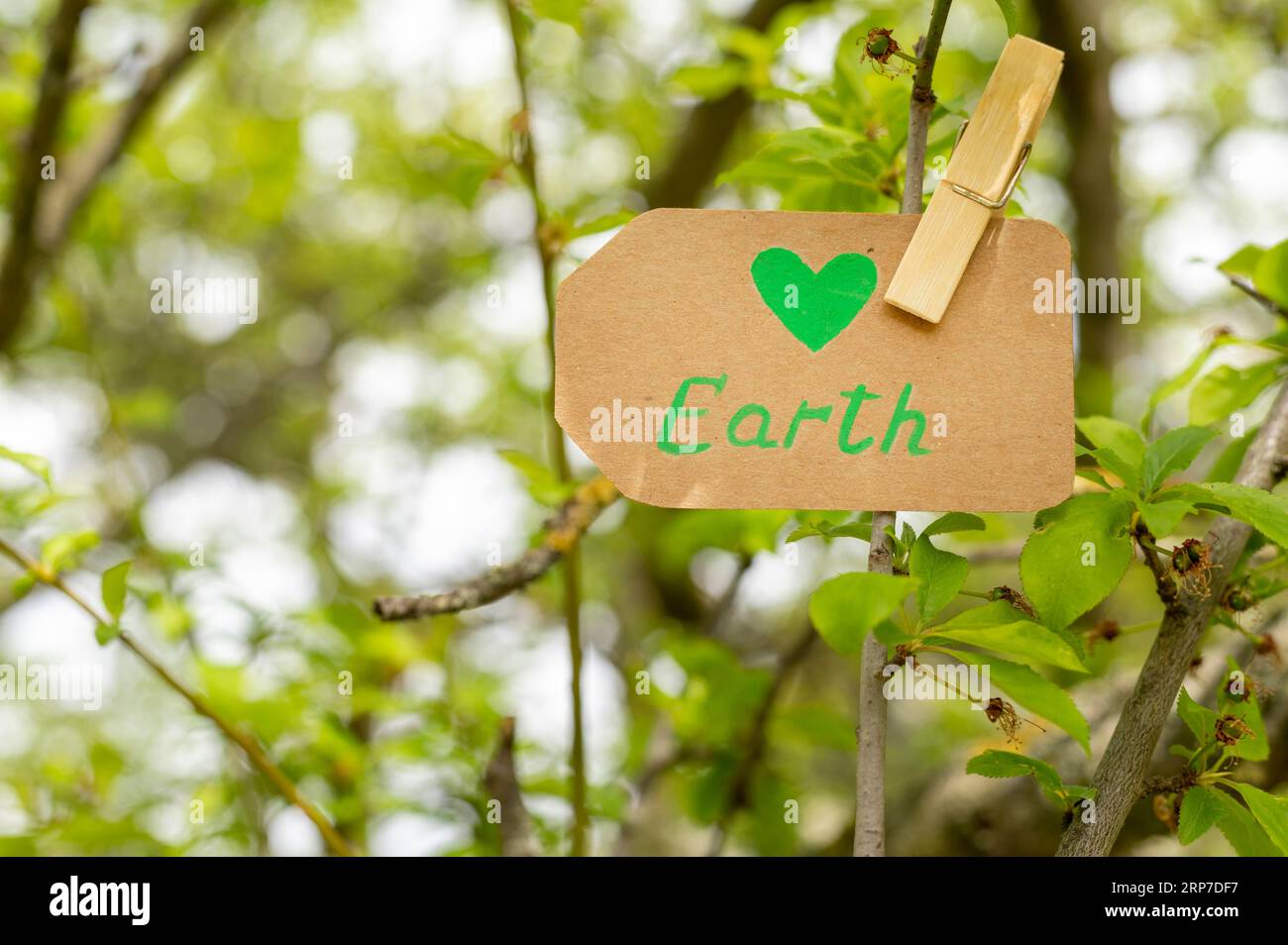 Earth sign tree Stock Photo - Alamy