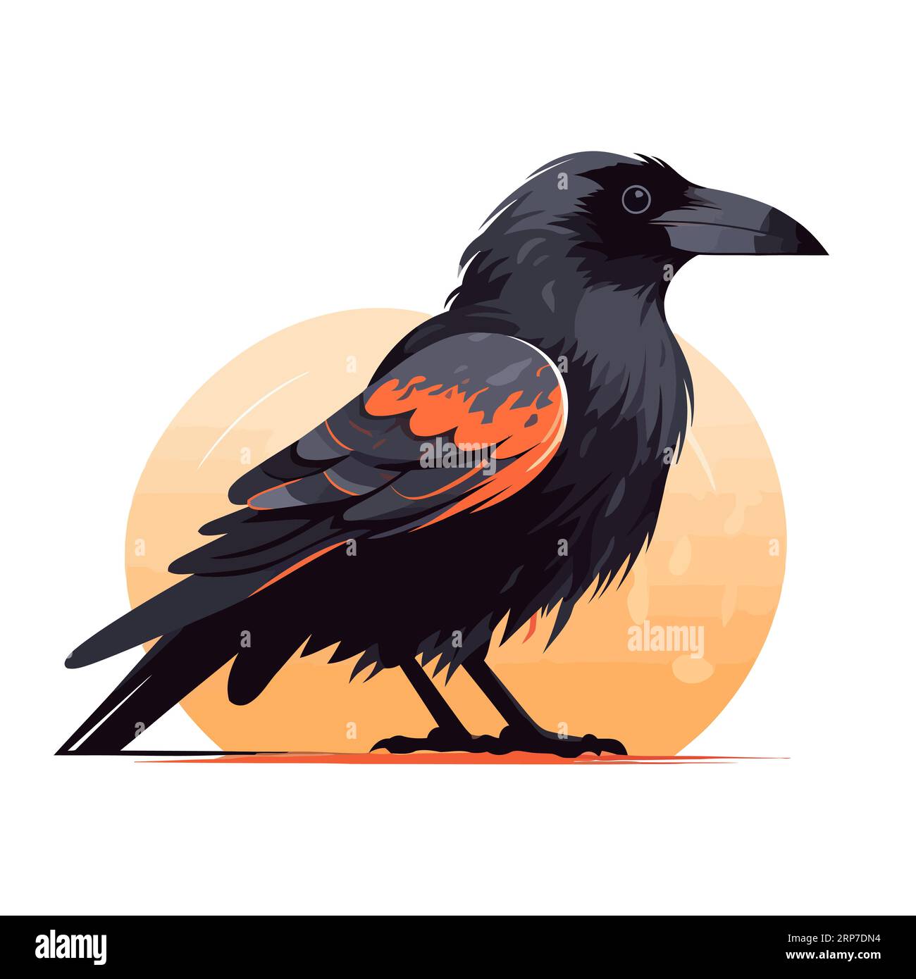 Crow image. Cute crow isolated on white background. Illustration of a ...