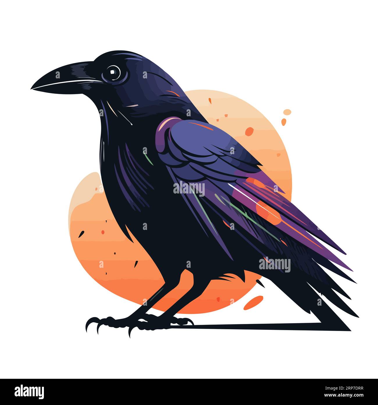 Crow image. Cute crow isolated on white background. Illustration of a ...