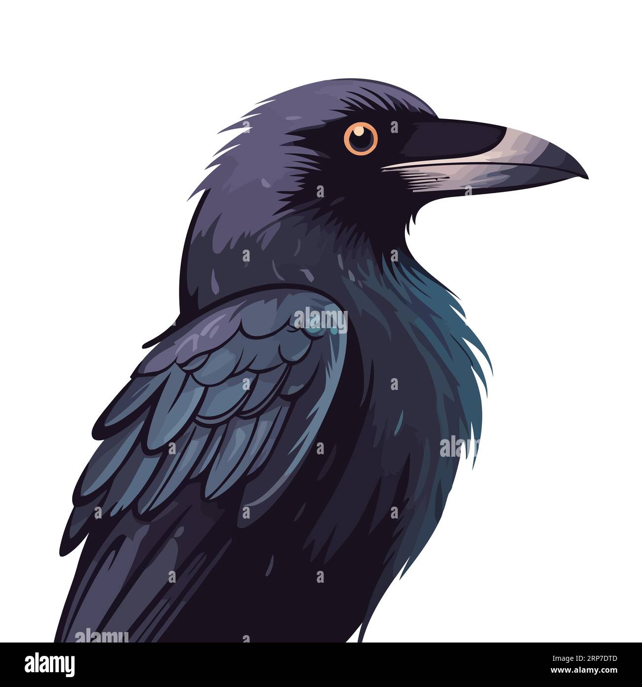 Crow image. Cute crow isolated on white background. Illustration of a ...