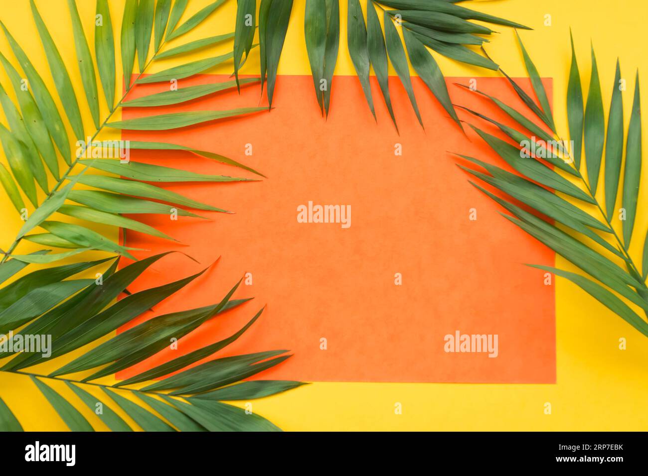 Plant leaves blank orange paper frame yellow background Stock Photo - Alamy