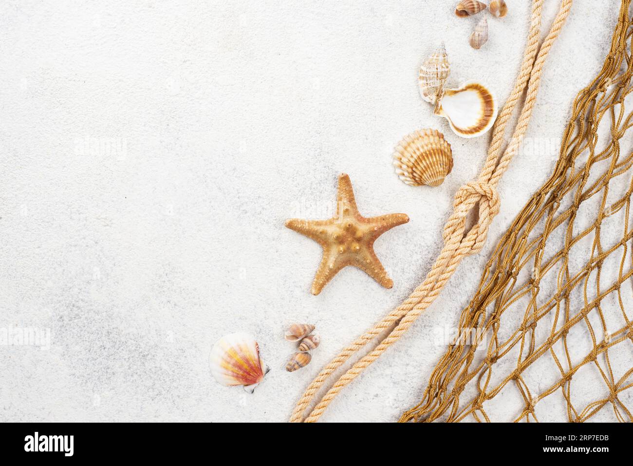 Shellfish with net Stock Photo - Alamy