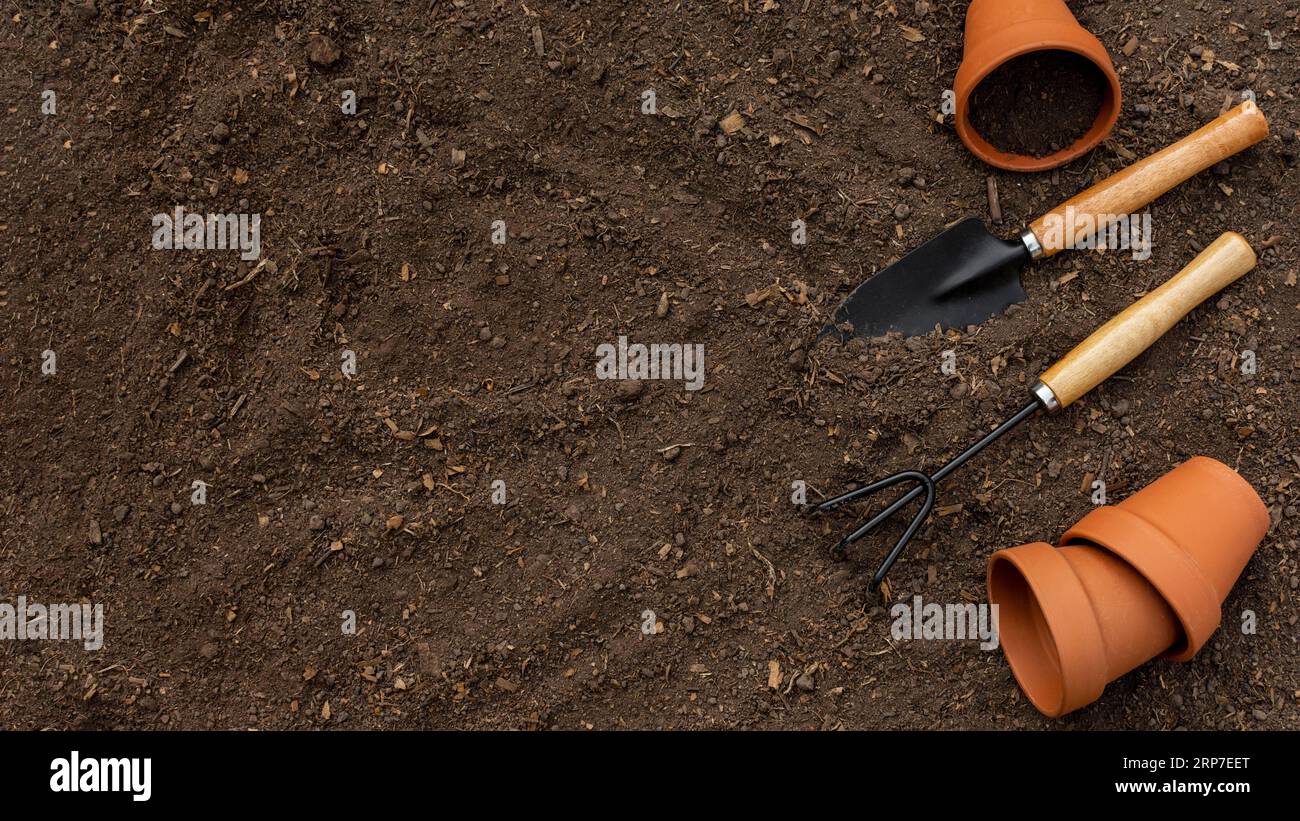 Plants gardening tools, High resolution photo Stock Photo - Alamy