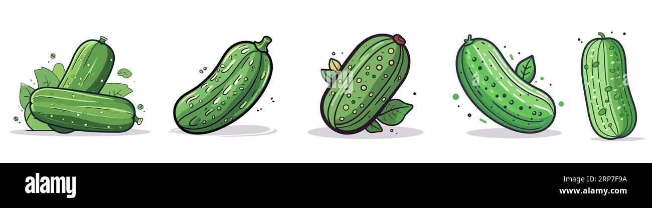 Cucumber icons. Set of cucumbers on white background. Vector ...