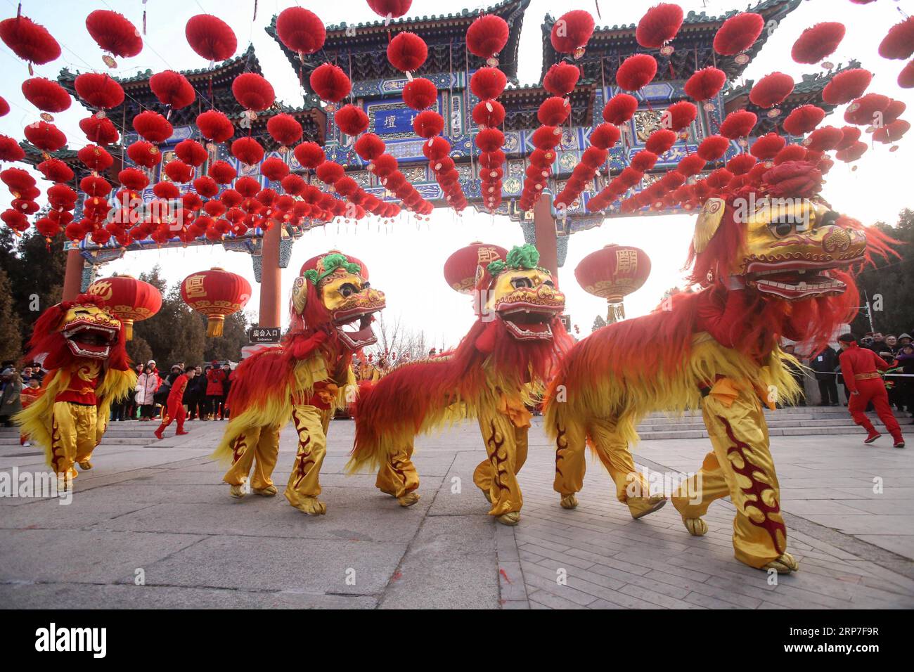 (190206) -- BEIJING, Feb. 6, 2019 -- Actors perform lion dance during a ...