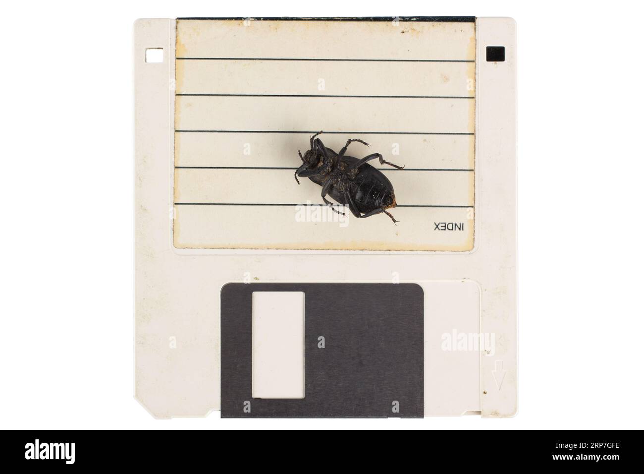 Bug on retro floppy diskette. Computer error concept. Isolated on white background Stock Photo ...