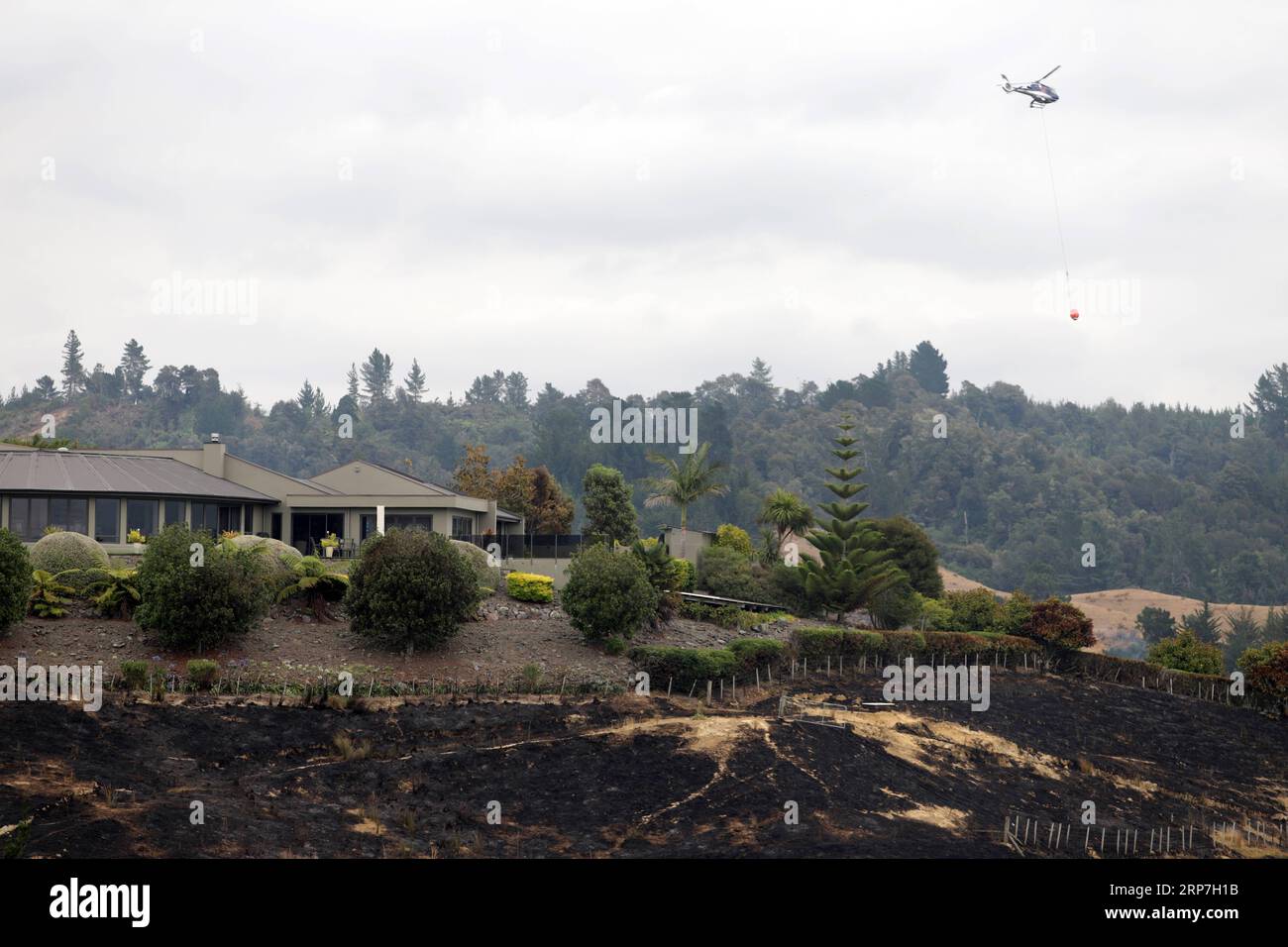 1980s new zealand hi-res stock photography and images - Alamy
