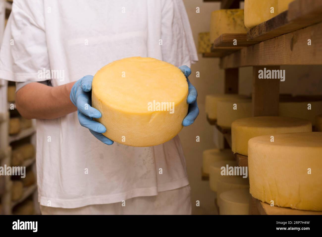 Man holding cheese roll Stock Photo - Alamy