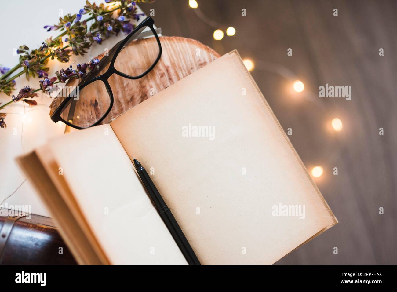 Open plain book hi-res stock photography and images - Alamy