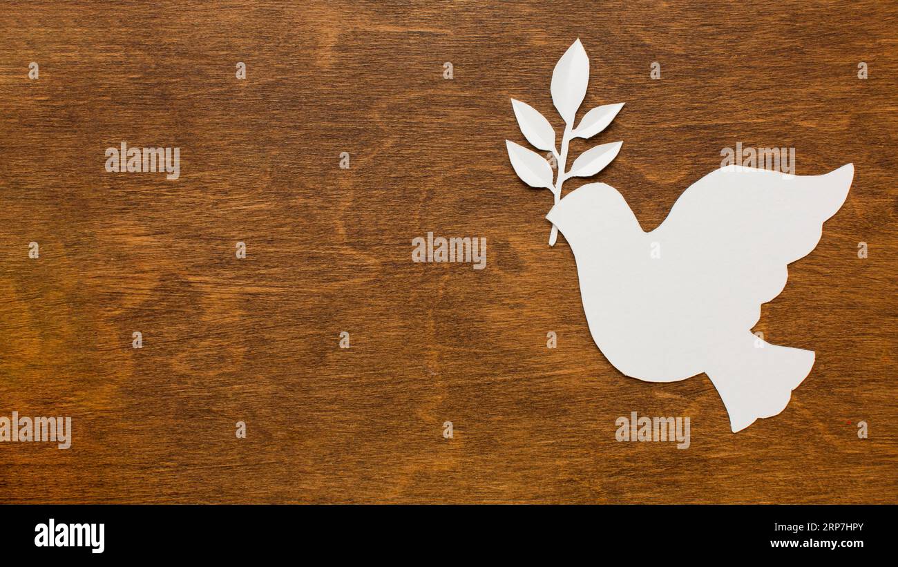 Paper dove hi-res stock photography and images - Alamy