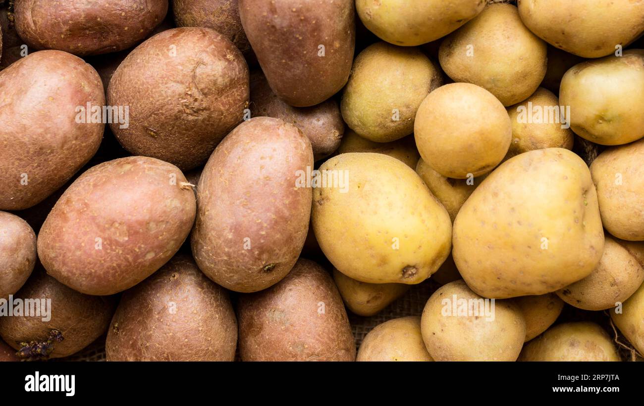 Top view different kinds potatoes Stock Photo - Alamy