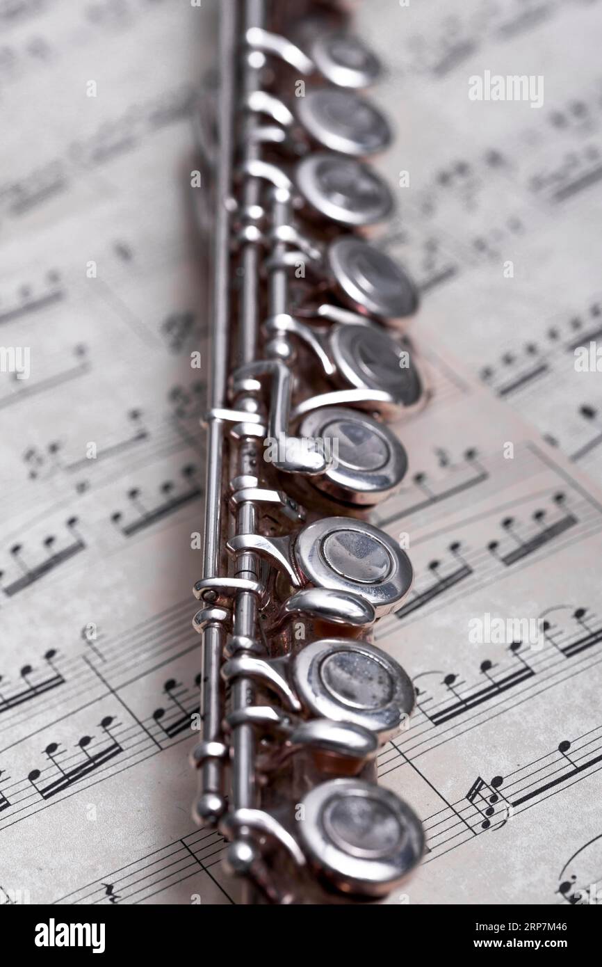 What Metal Is A Flute Made Of at Barbara Bowles blog