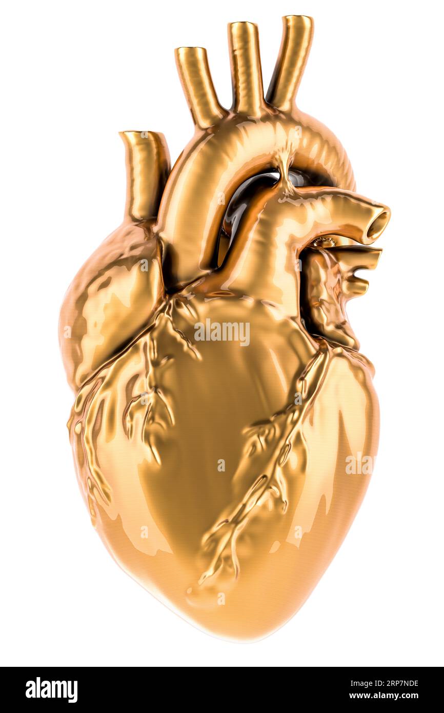 Golden Human Heart, 3D rendering isolated on white background Stock ...
