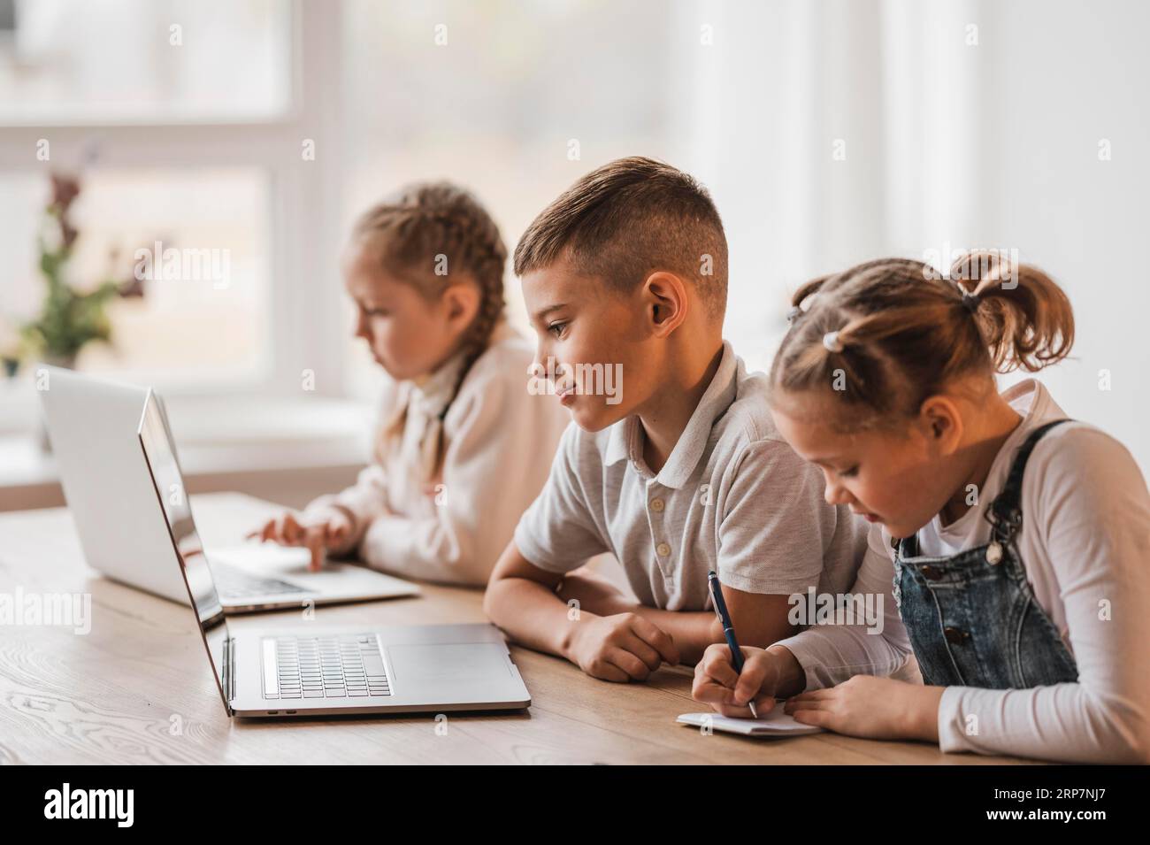 Little kids using laptops school Stock Photo - Alamy