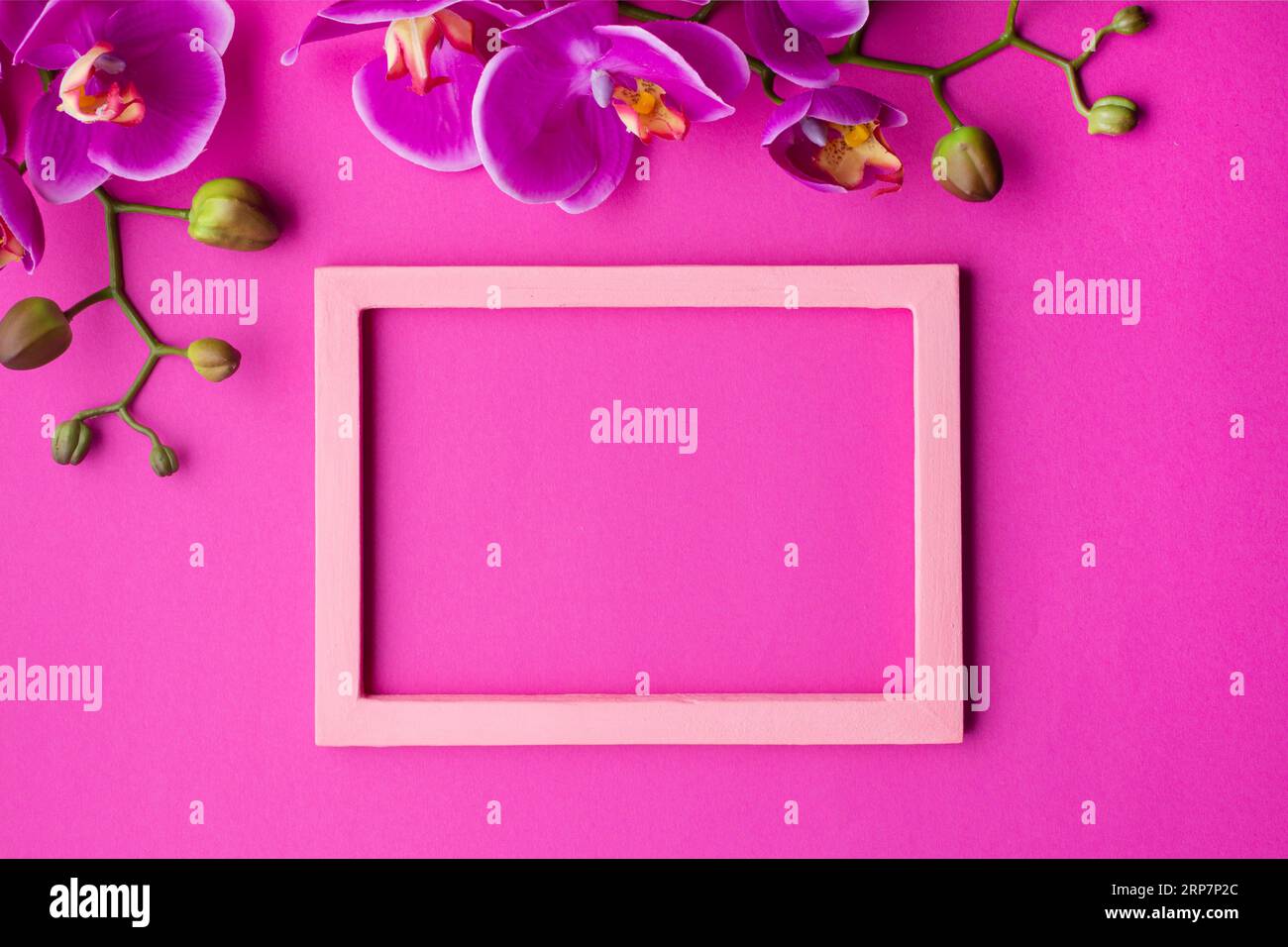 Orchid flowers with empty frame Stock Photo - Alamy
