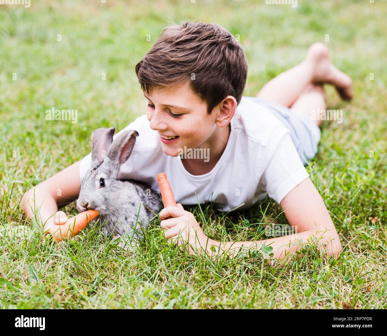 Rabbit carrot grass hi-res stock photography and images - Alamy