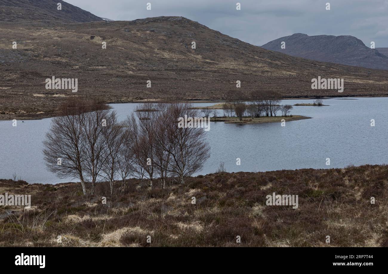 Stark spring landscape in Scotland over looking a small Loch with ...