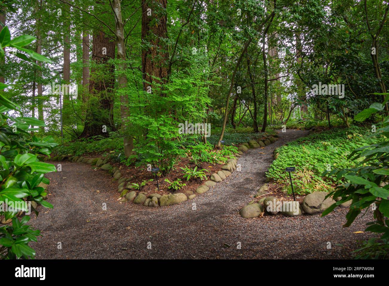 Portland forest park trail hi-res stock photography and images - Alamy