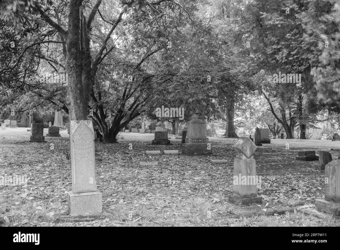 Portland fall Black and White Stock Photos & Images - Alamy
