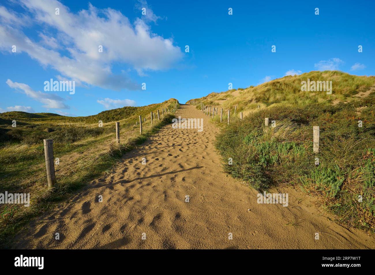 Beach access, sand dune, dune grass, wind, clouds, Zandvoort, North Sea ...