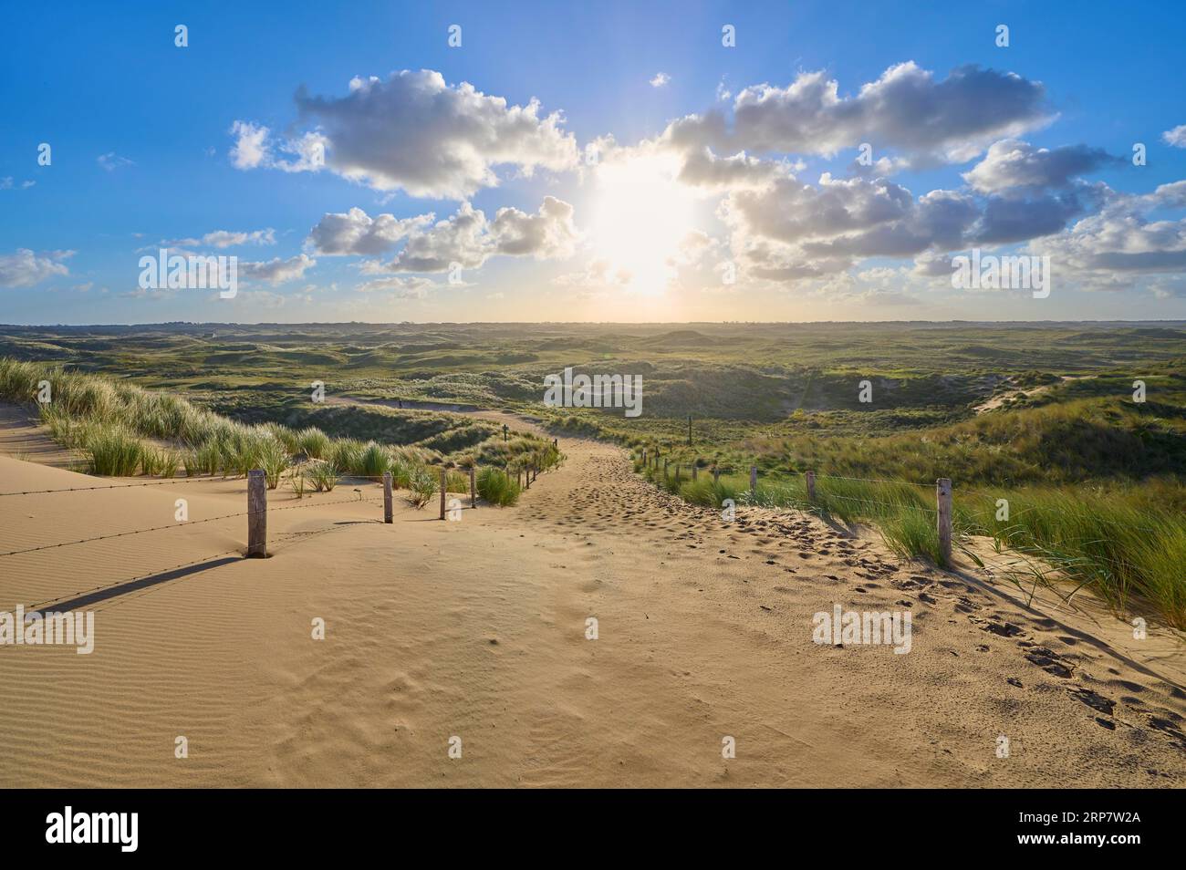 Beach access, sand dune, dune grass, wind, clouds, sun, morning ...