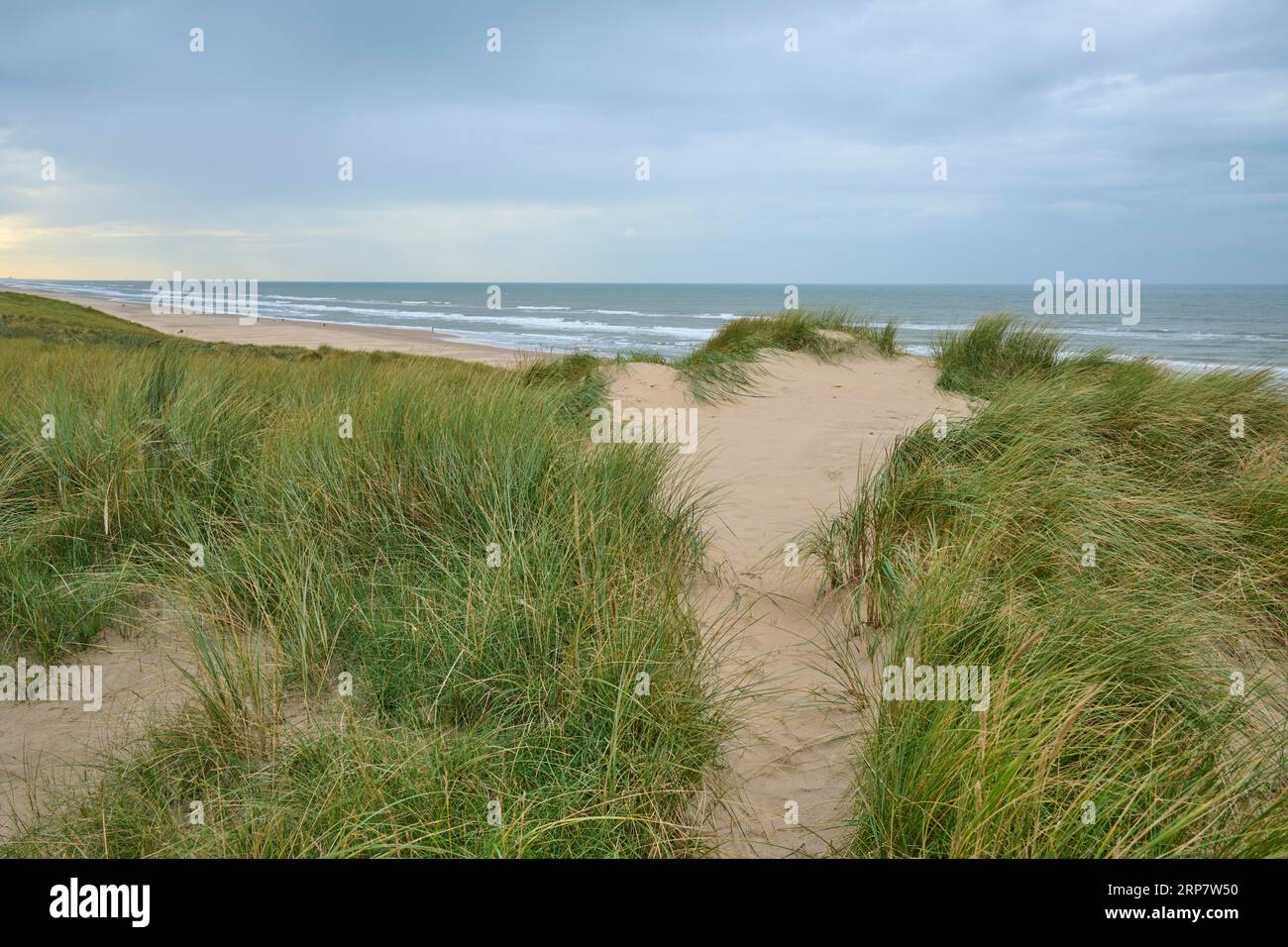 Footpath, Sand dune, Sea, Marram Grass, Clouds, Zandvoort, North Sea ...