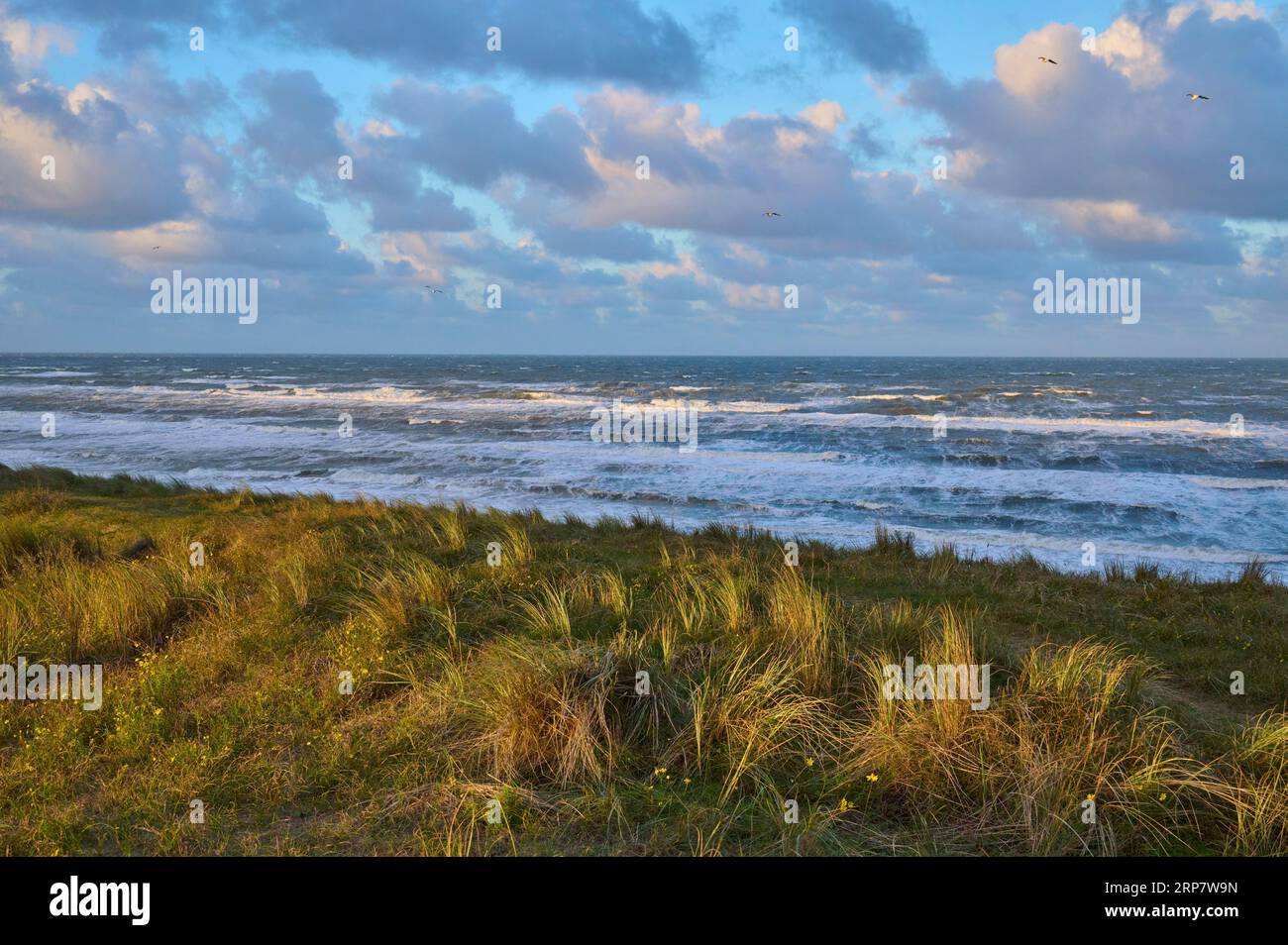 Sand dune, Sea, Waves, Stormy, Marram Grass, Wind, Clouds, Zandvoort ...