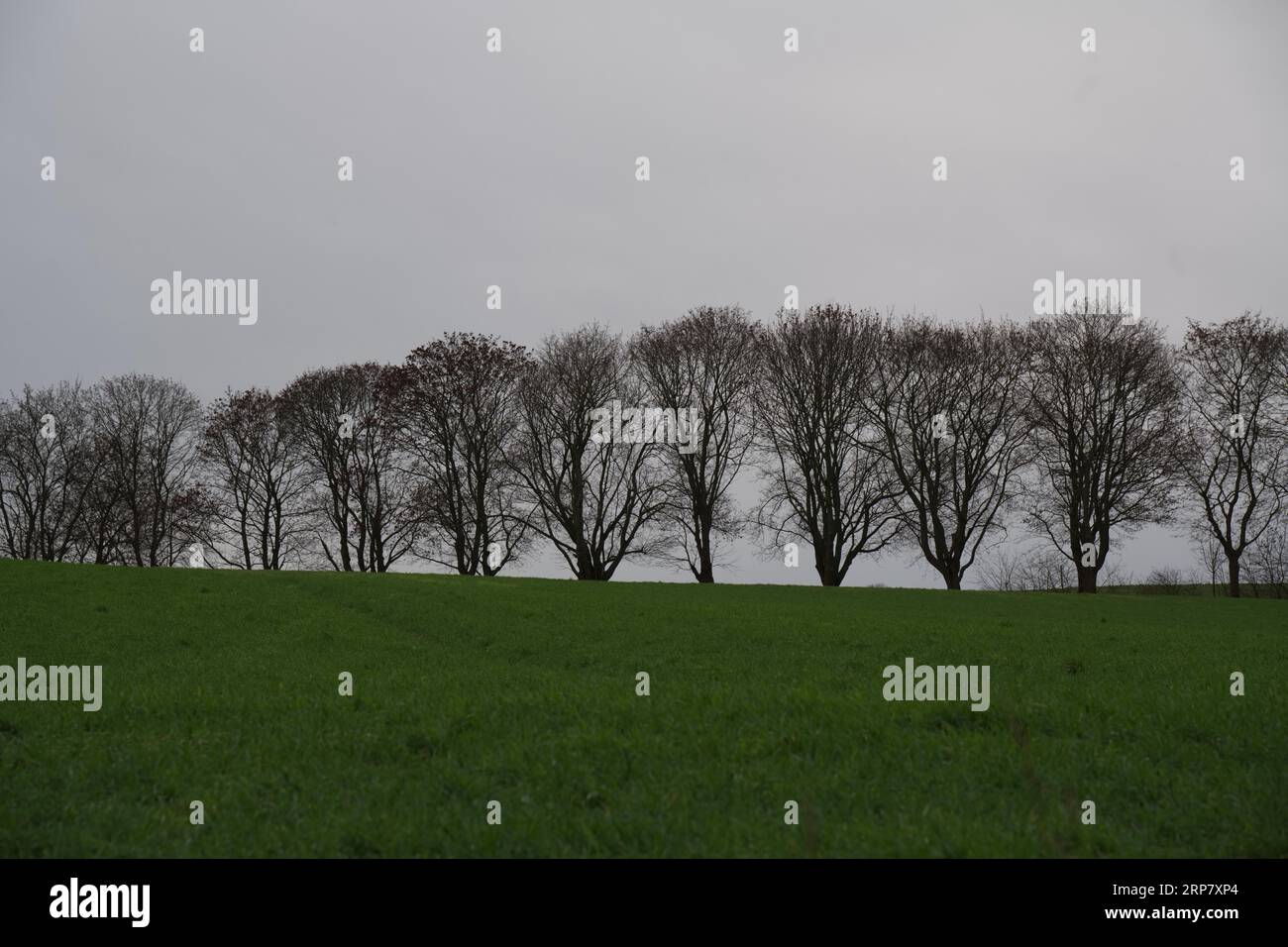 Murky weather hi-res stock photography and images - Alamy