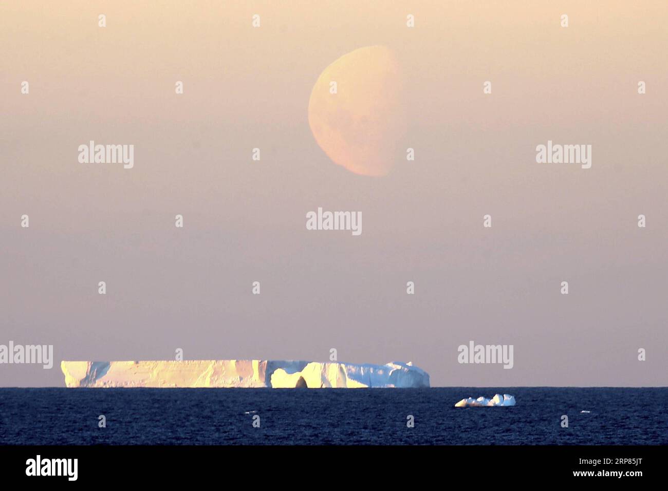 (190219) -- BEIJING, Feb. 19, 2019 (Xinhua) -- Photo taken on Feb. 14 ...