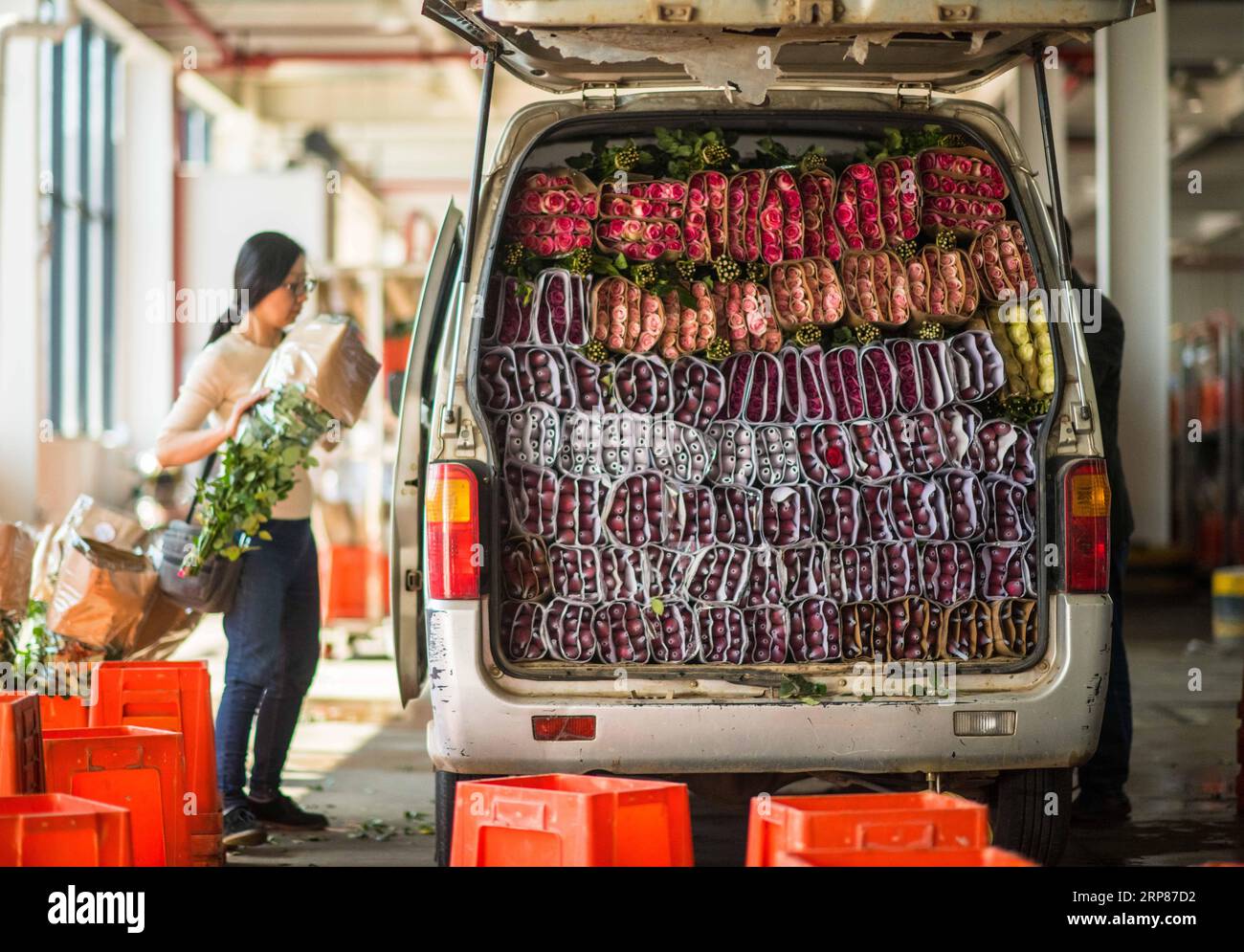 Over packed car hi-res stock photography and images - Alamy