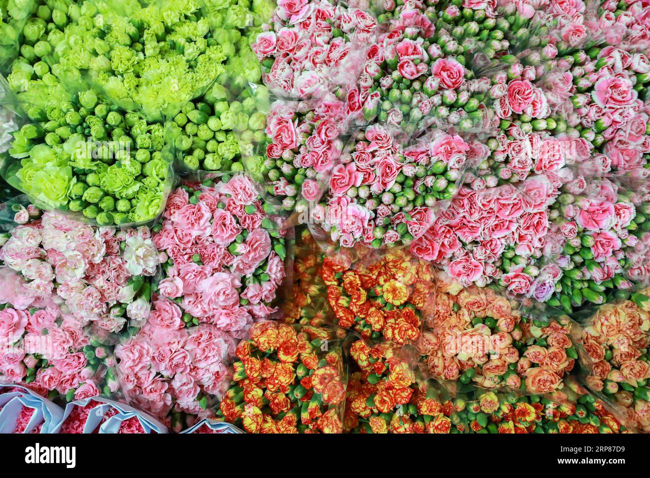 Various flower varieties available hi-res stock photography and images ...