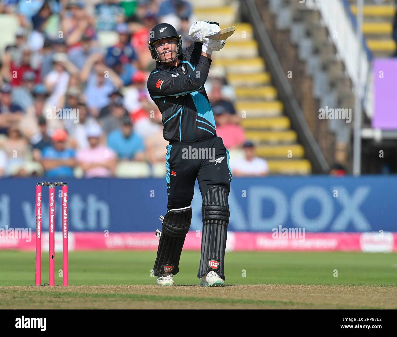 Finn allen new zealand hi-res stock photography and images - Alamy