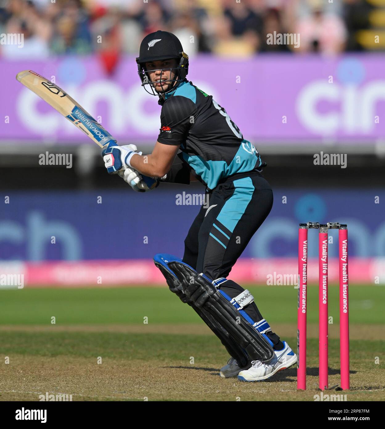 Mark chapman new zealand hi-res stock photography and images - Alamy