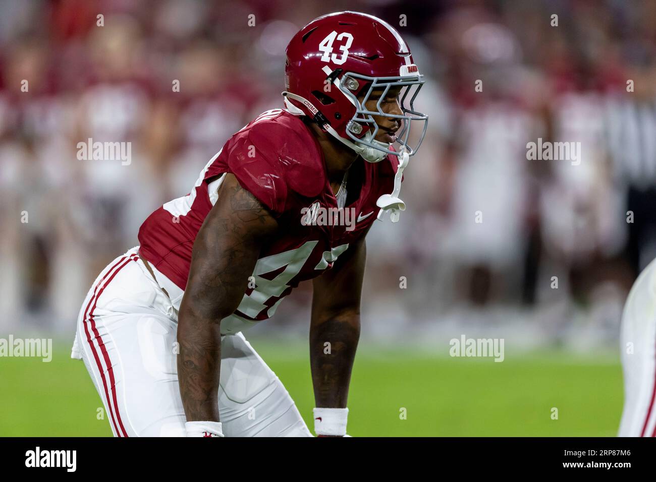 Alabama linebacker Shawn Murphy (43) sets up for a play against Middle Tennessee during the ...