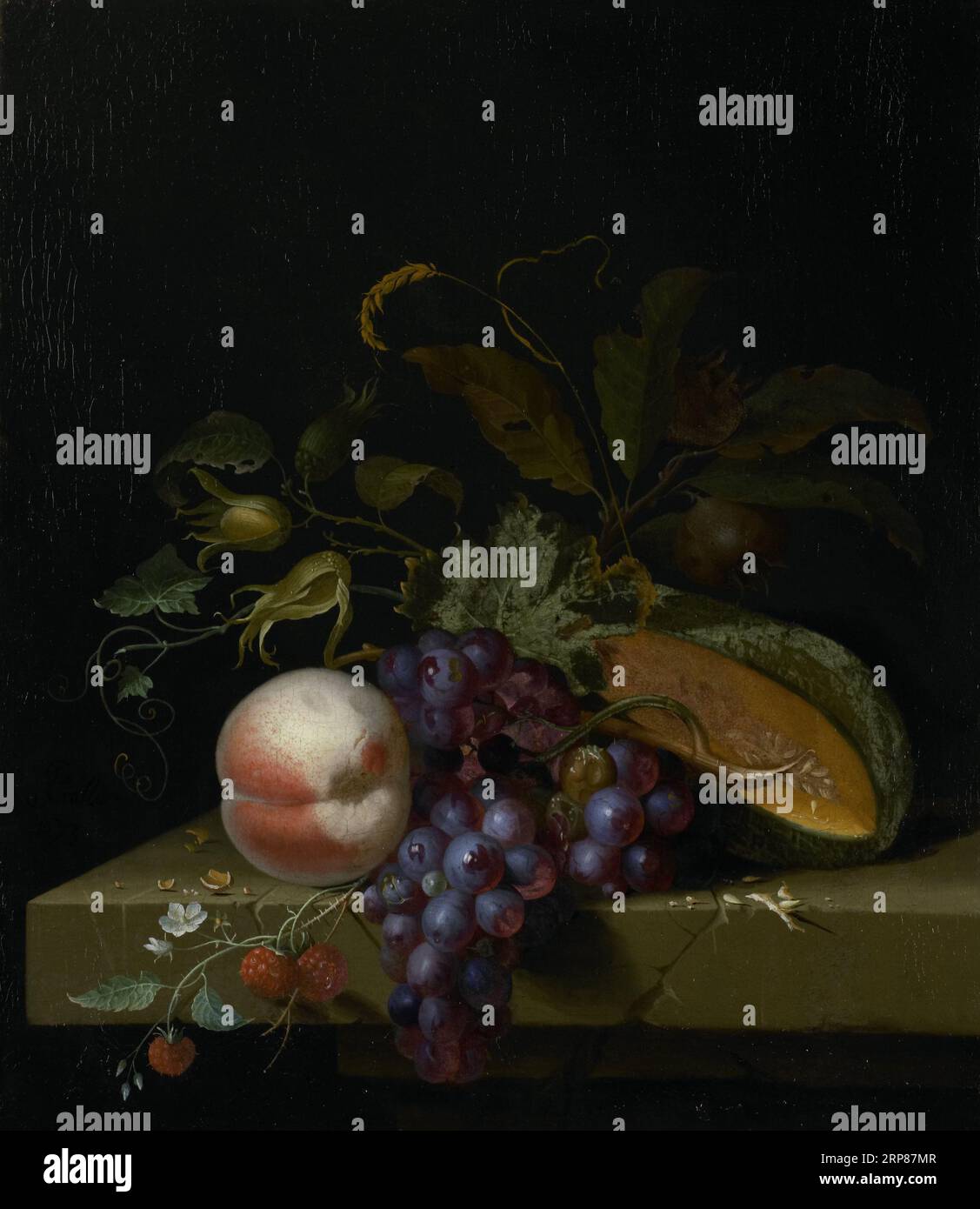 Gallis pieter hi-res stock photography and images - Alamy