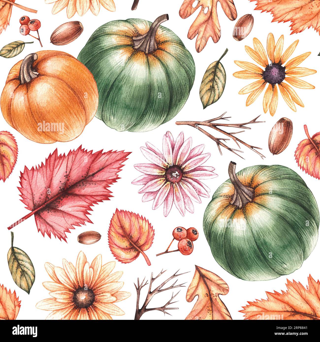 Watercolor autumn pattern with pumpkins, flowers, withered leaves on a ...