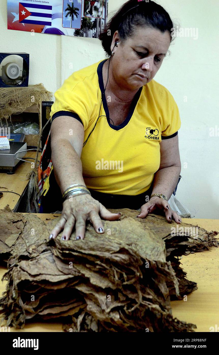 El laguito cigar hi-res stock photography and images - Alamy