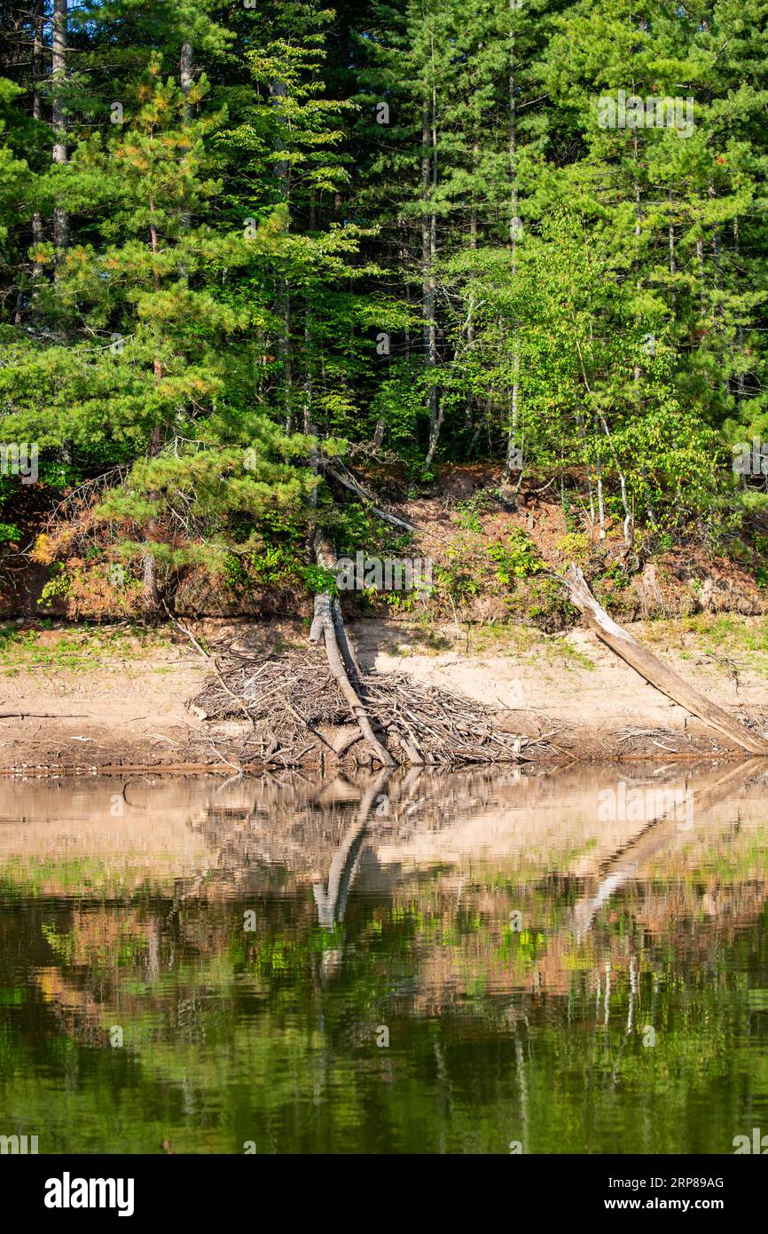 Beaver house on Rainbow Flowage in northern Wisconsin completely ...