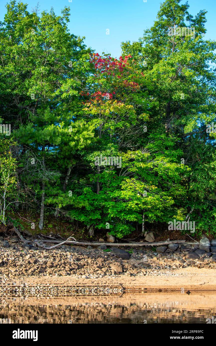 Wisconsin leaves starting to change color on the Rainbow Flowage at the ...