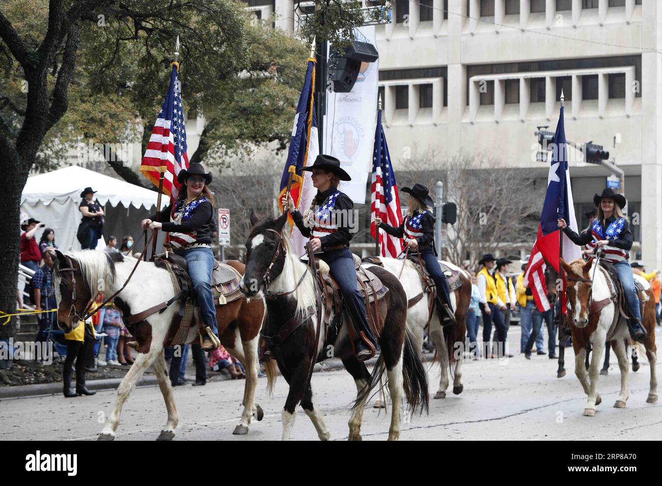 Houston livestock show hi-res stock photography and images - Alamy
