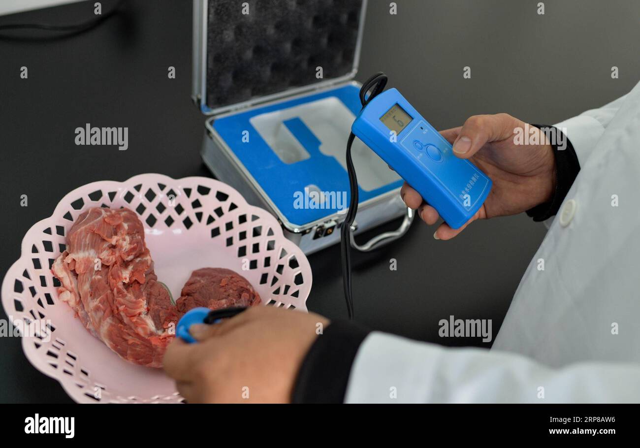 190225 -- BEIJING, Feb. 25, 2019 -- A staff member checks the water ...