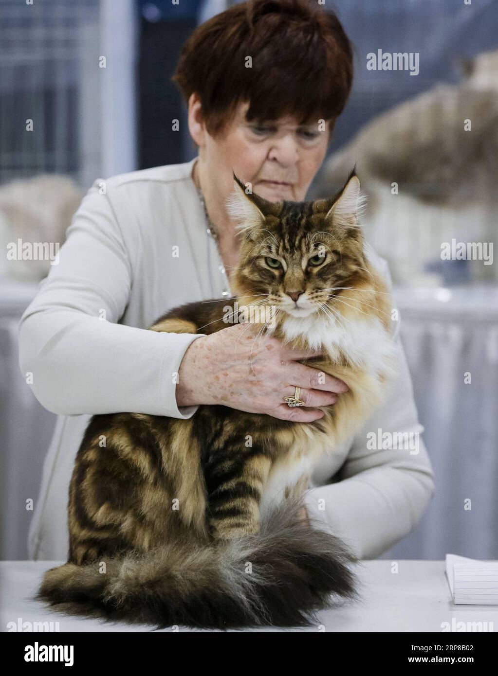 (190225) -- VANCOUVER, Feb. 25, 2019 -- A judge holds a cat during a ...