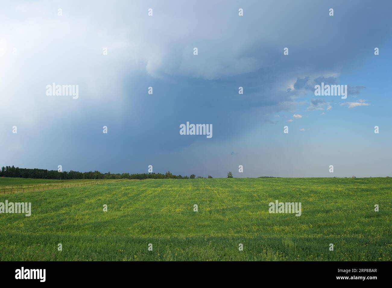 Cloud damage in dying outflow dominant storm system in Alberta, Canada ...