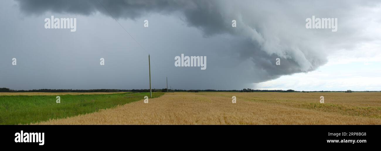 Large panorama image of severe weather storm system in Alberta, Canada ...