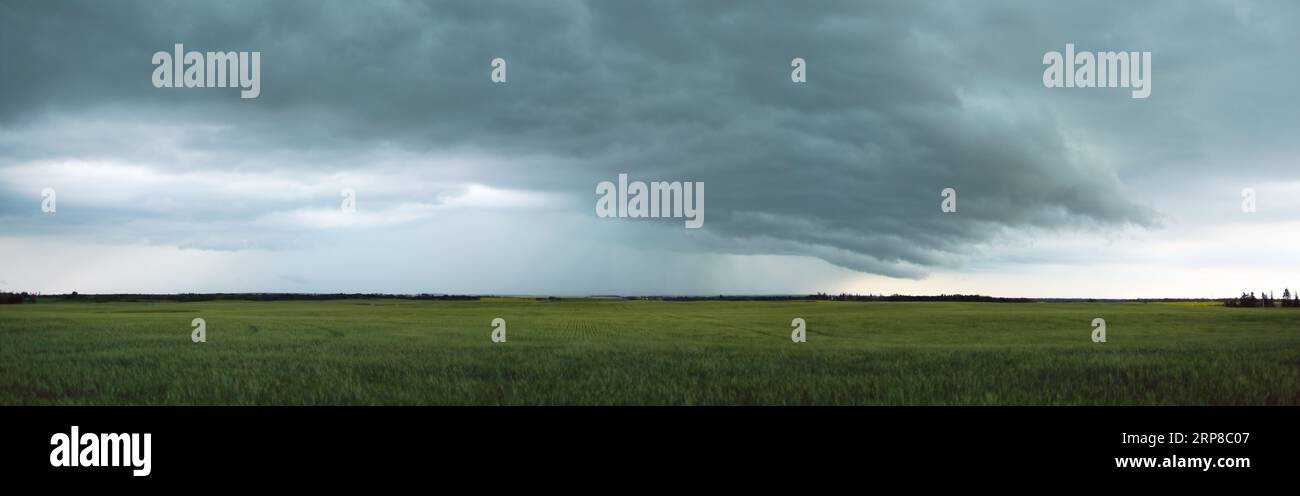 Large panorama image of severe weather storm system in Alberta, Canada ...