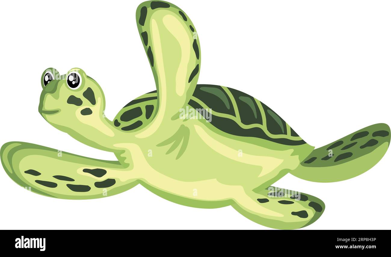 cute turtle icon design white backgroound Stock Vector Image & Art - Alamy